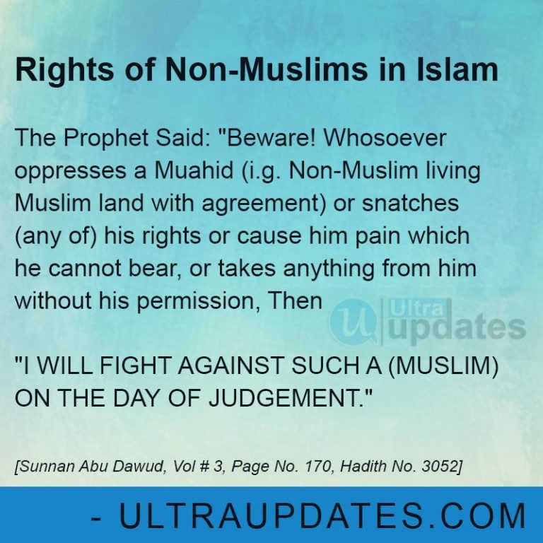 165+ Beautiful Islamic Quotes About Life - Images 2025