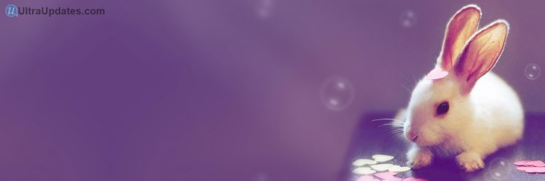 40+ Cute & Beautiful Twitter Header Cover Photos