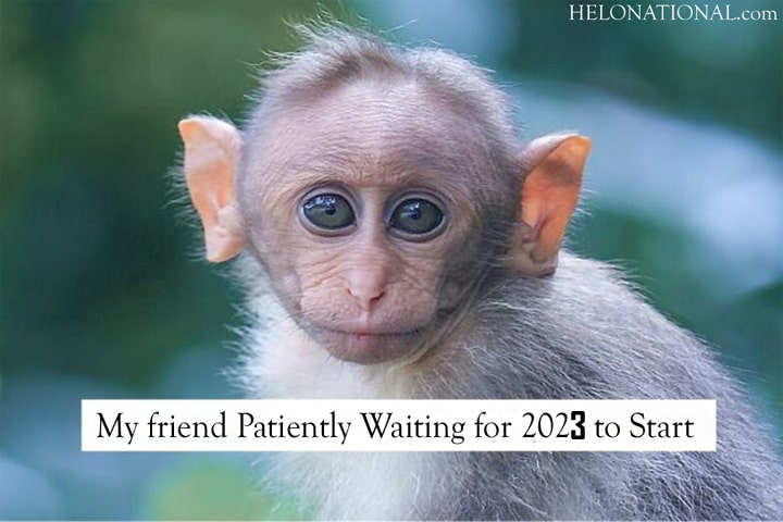 60+ Funny New Year Quotes 2023 In English With Images