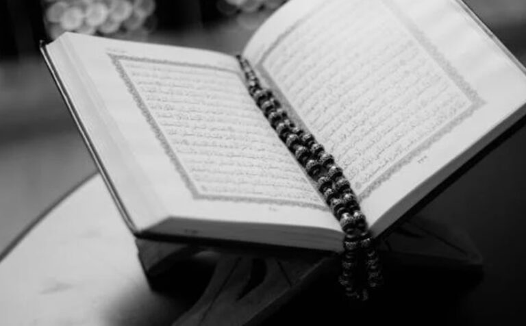 60+ Islamic DPs | Gorgeous Islamic Profile Photos