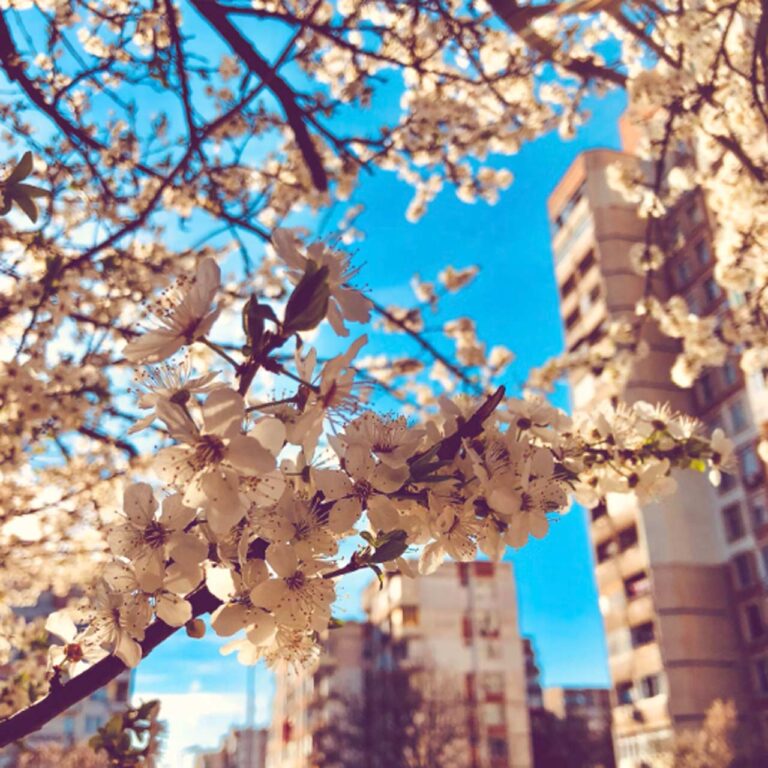 75+ Cute Aesthetic Profile Pictures for FB, Insta & Whatsapp