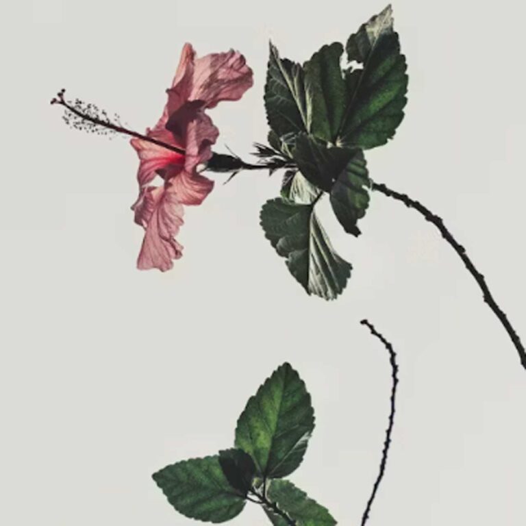 75+ Cute Aesthetic Profile Pictures for FB, Insta & Whatsapp