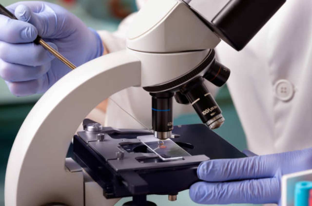 Best Practices for Organizing Slides in a Microscope Slide Storage Cabinet